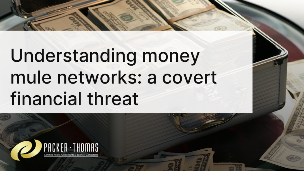 Understanding Money Mule Networks: a Covert Financial Threat